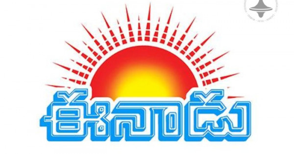 newspaper ad layout-Elyts Branding and Advertising Company